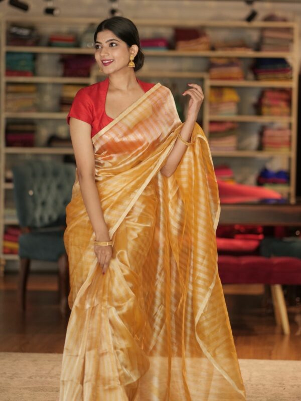 Tissue Silk Saree | Buy Tissue Sarees Online at Lowest Prices